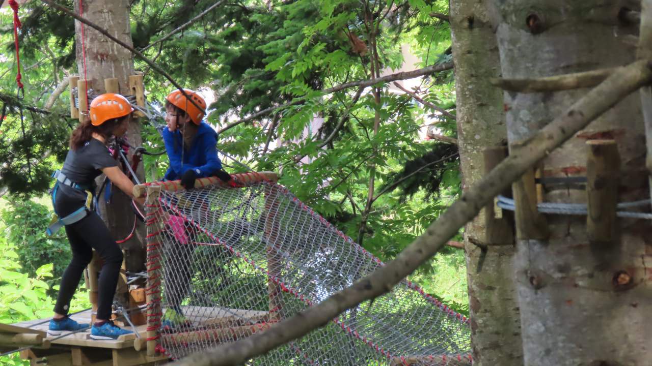 Brand-new Adventure Park | M Hotel & M Lodge Niseko